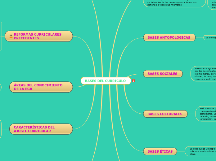 BASES DEL CURRICULO - Mind Map